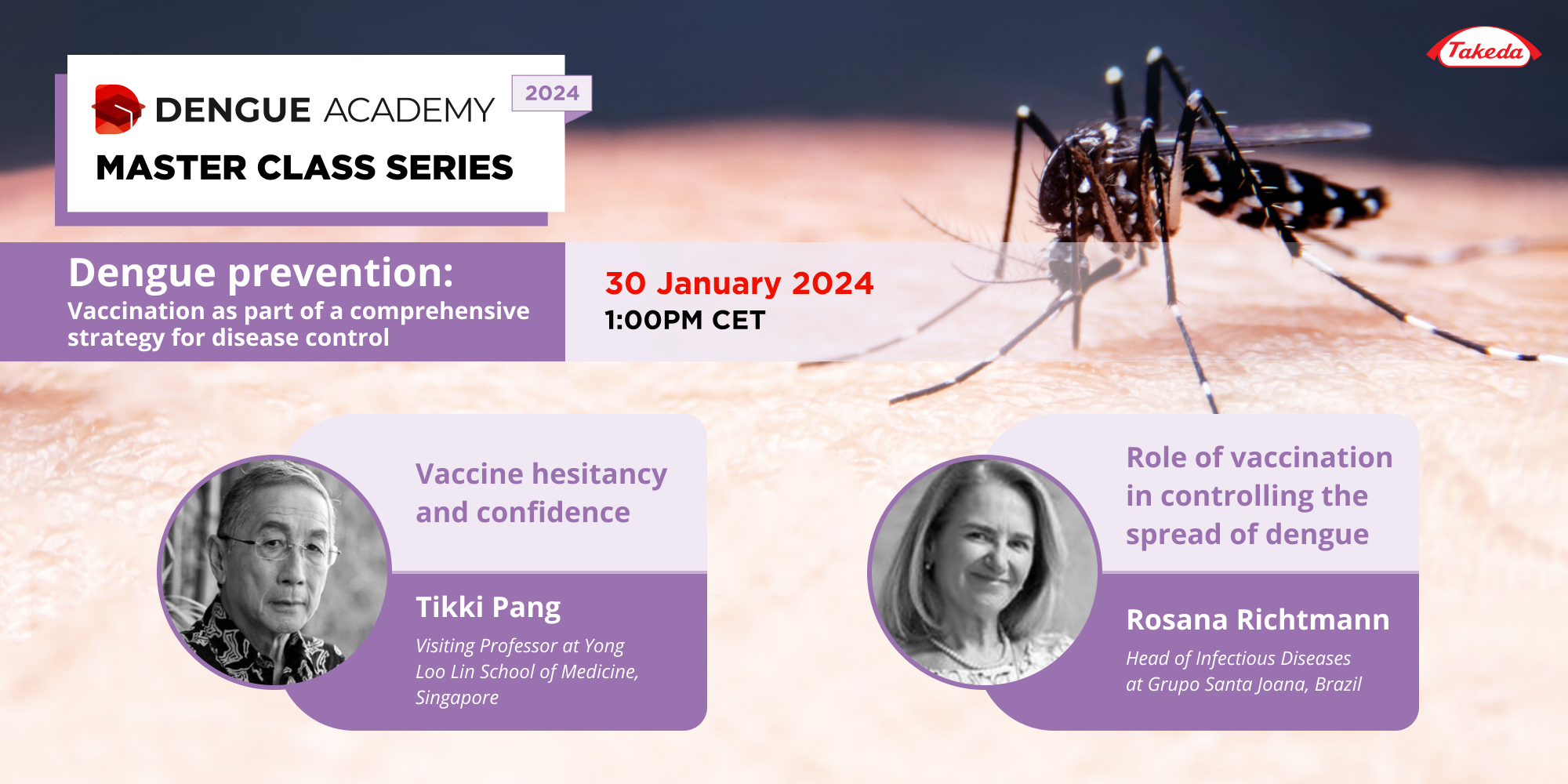 Dengue Prevention: Vaccination as Part of A Comprehensive Strategy for ...